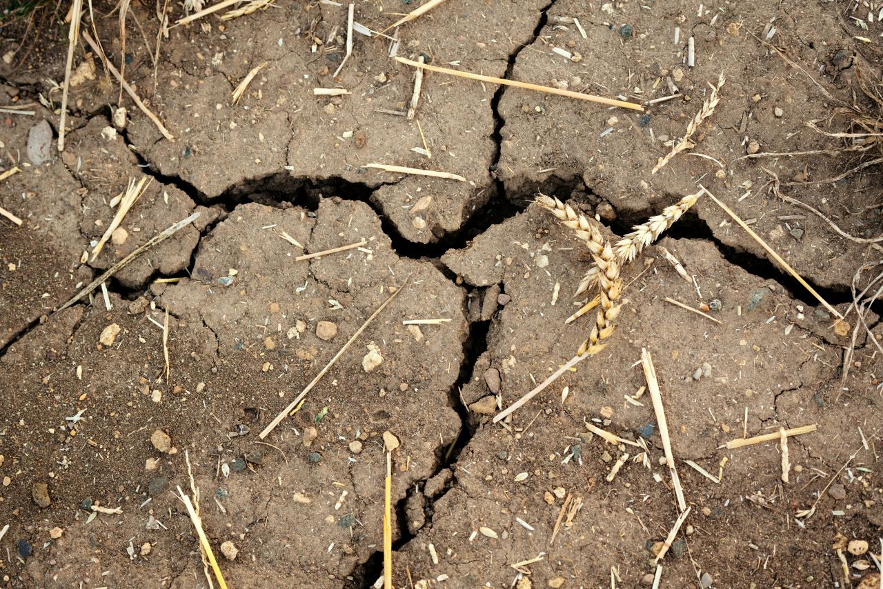 Conférence "Artificialisation des sols" - Agenda - Portail de l ...